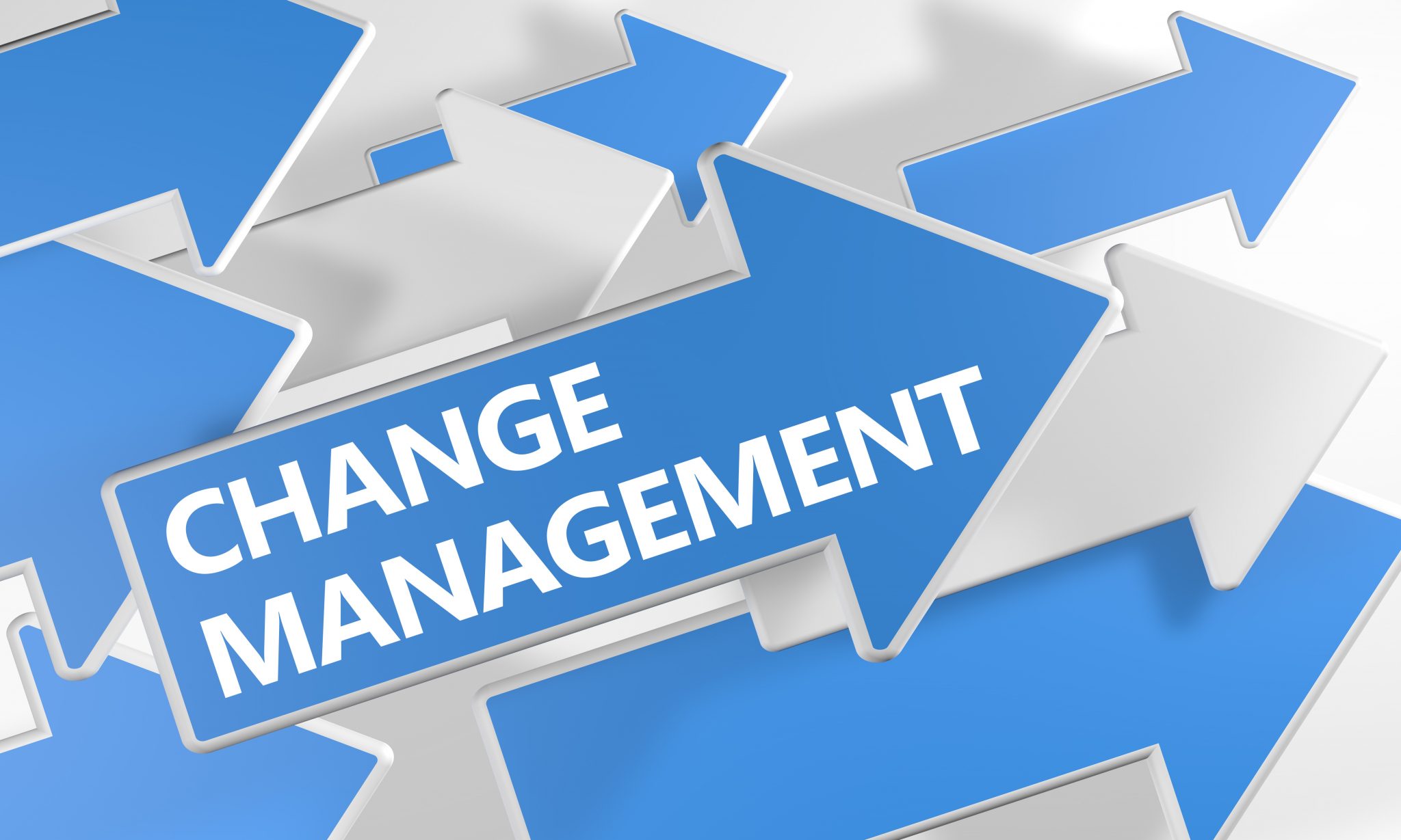 Project Management Companion for the insightful Community
